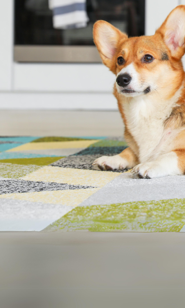 Pet Supplements You Can Trust – Barsk