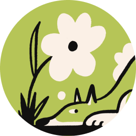 Bone Broth – Barsk